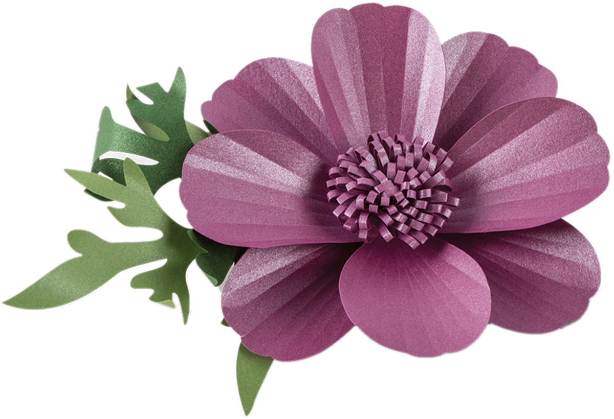 Supermart.com. Fiskars Lia Griffith Paper Curler White/Teal